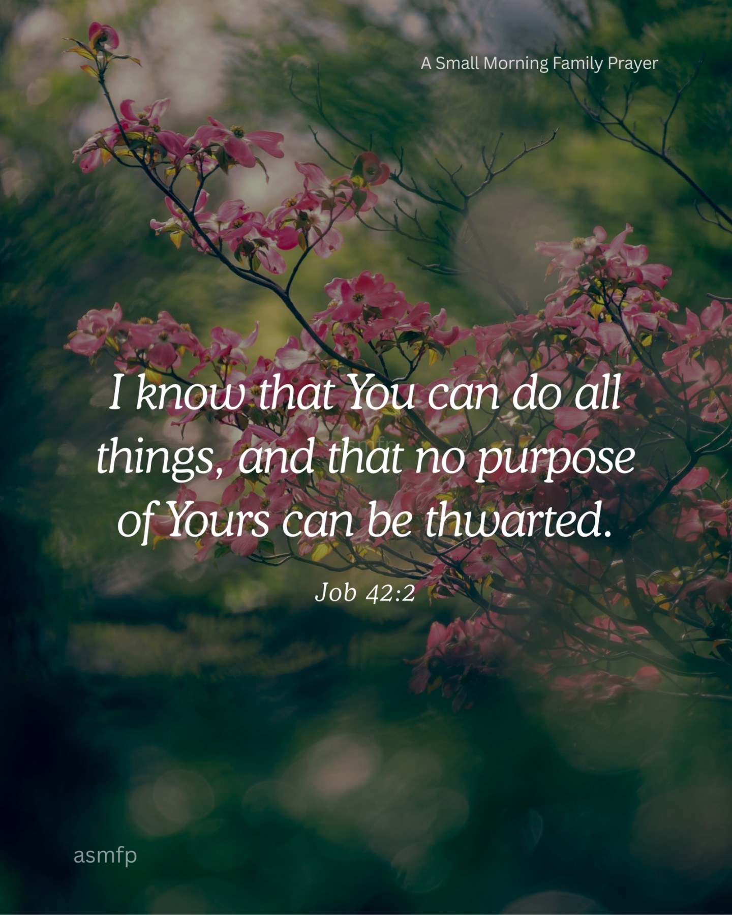 LOVE THE LORD & TRUST IN HIM. HE WILL MAKE ALL THINGS WORK TOGETHER FOR ...