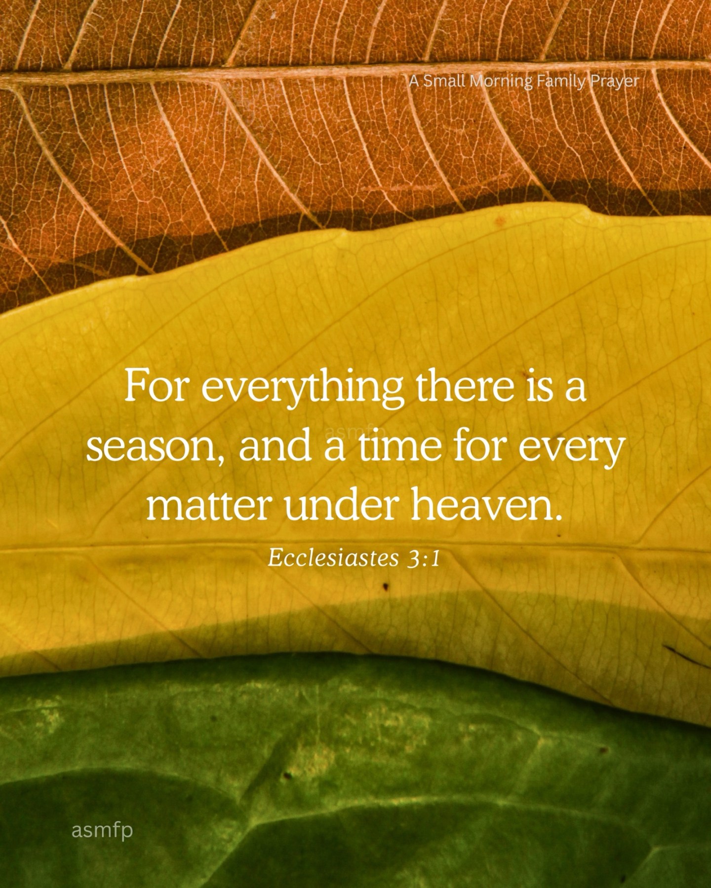 OUR LORD IS PERFECT IN HIS TIMING. – A Small Morning Family Prayer