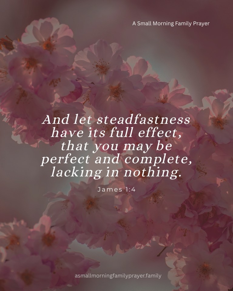 PERSEVERE TILL THE END TO RECEIVE WHAT HE HAS PROMISED – A Small ...